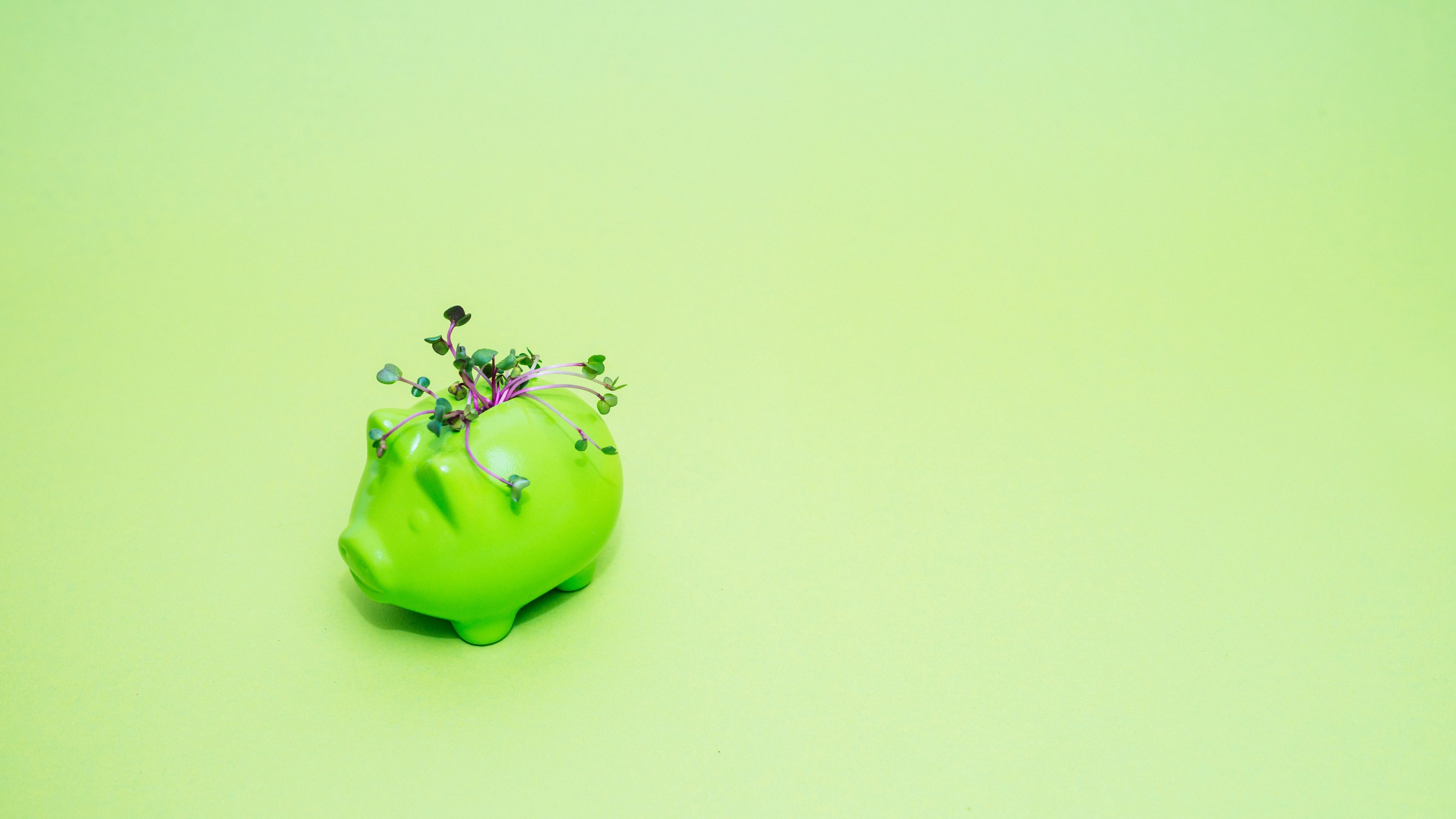 What is a green loan and where can I get one?